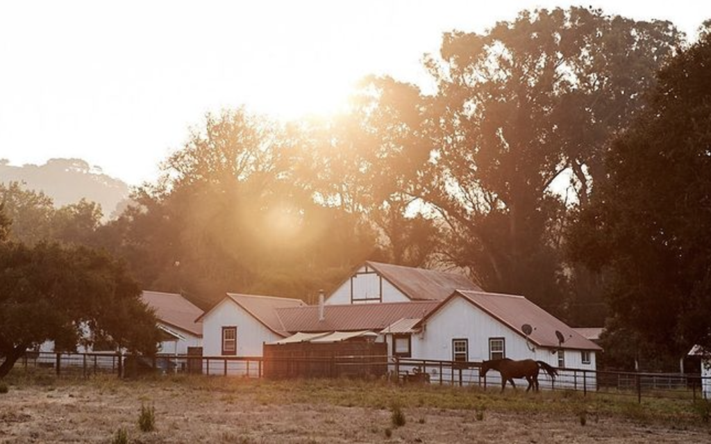 Elizabeth Poett on Ranch Living & Homes with Character - rinconrd.com